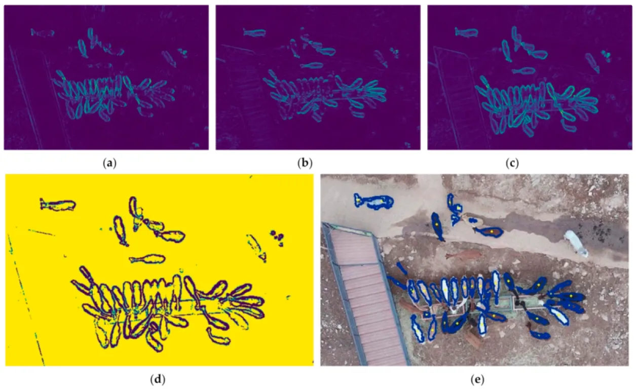 Computer vision vs image processing: The key differences